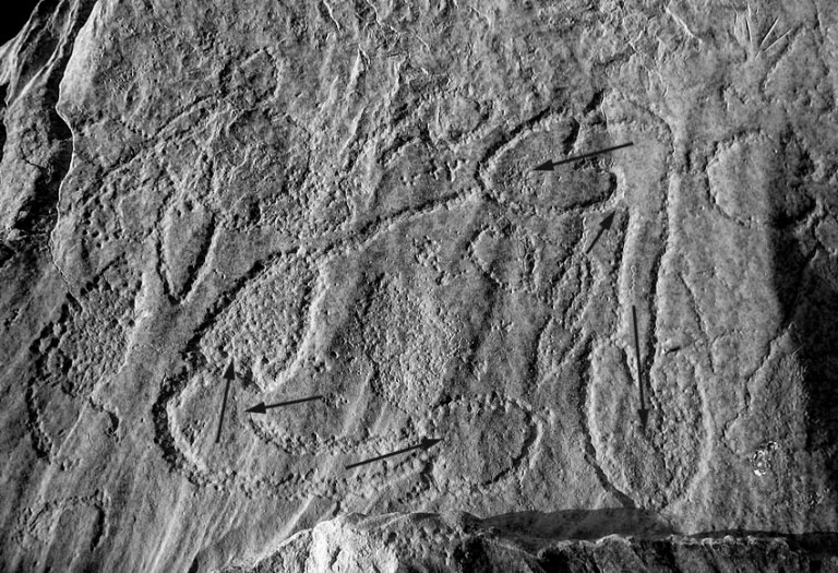 The World Heritage Rock Art at Alta in Northern Norway | Per Storemyr ...